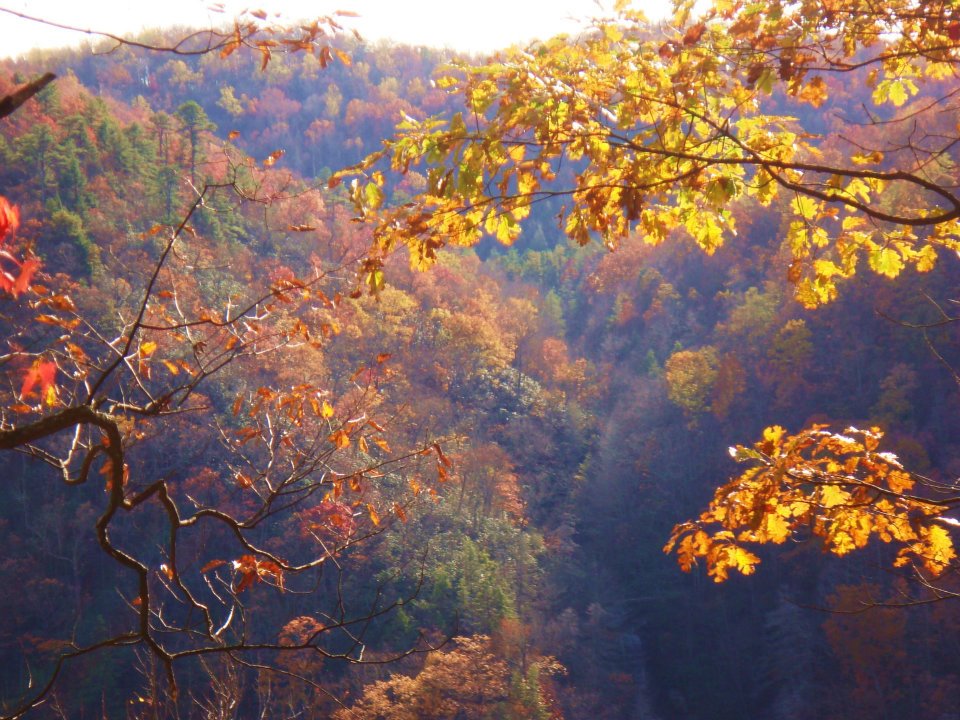 Fall;10,000 REASONS TO CELEBRATE THE SEASON - The IN SEASON Lifestyle